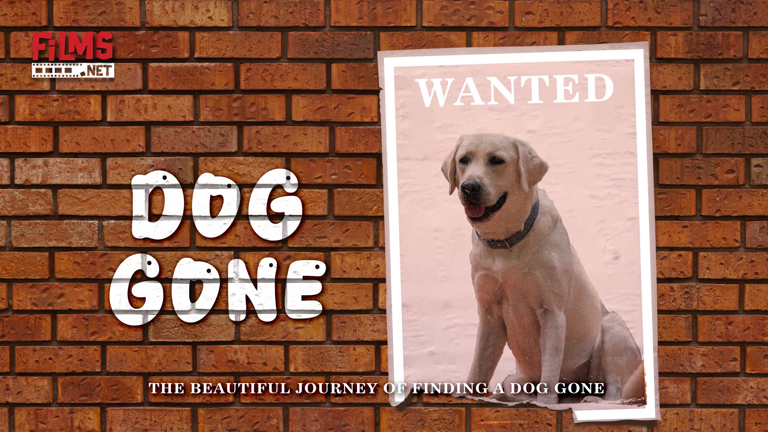 The Beautiful Journey of finding A Dog Gone - Films.net