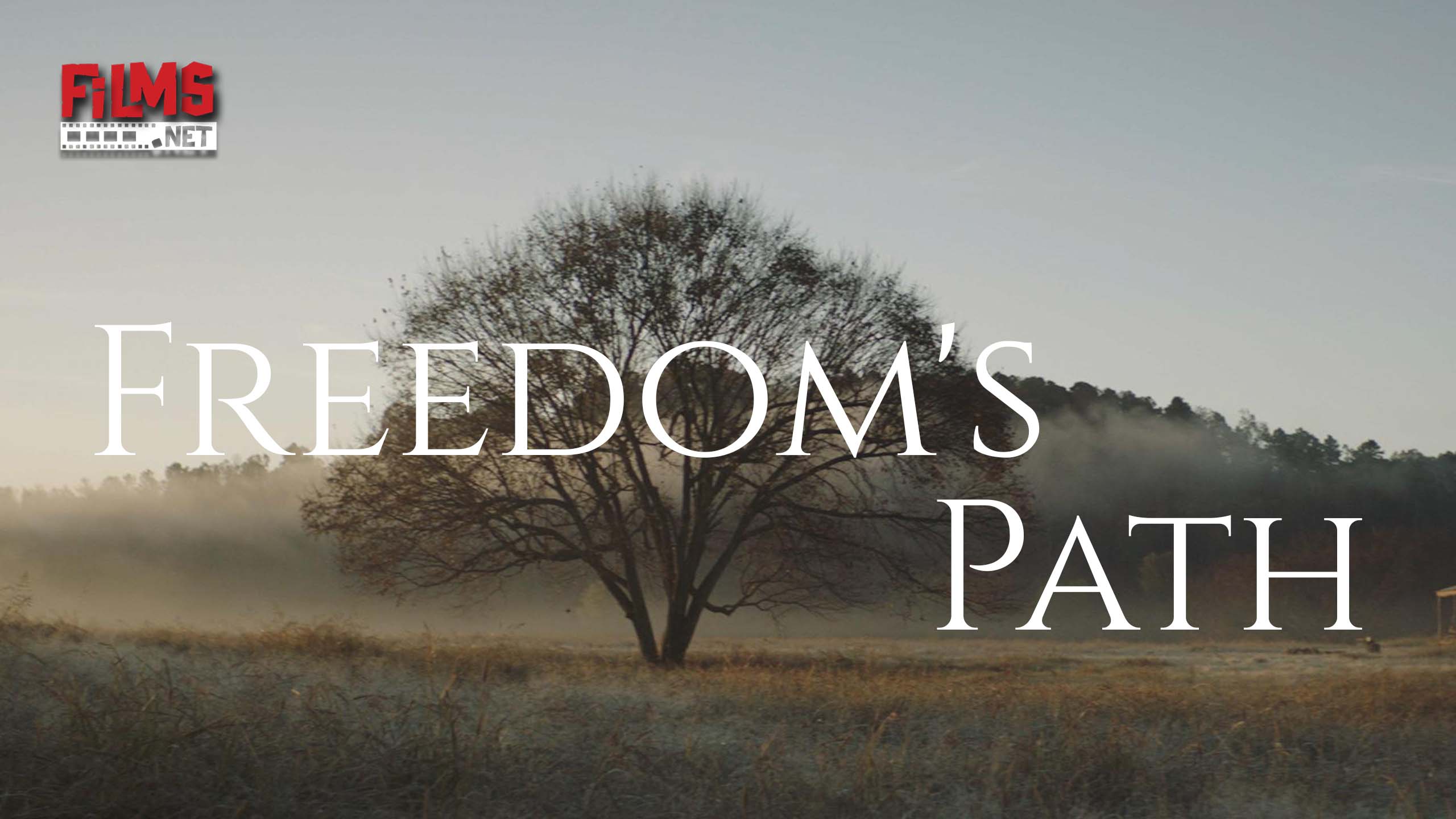 Exploring the Human Cost of 'Freedom's Path'" - Films.net